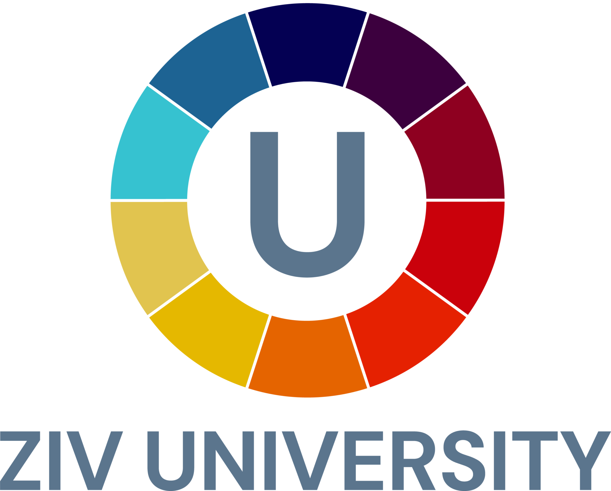 HV-MV-LV Automation Systems- ZIV